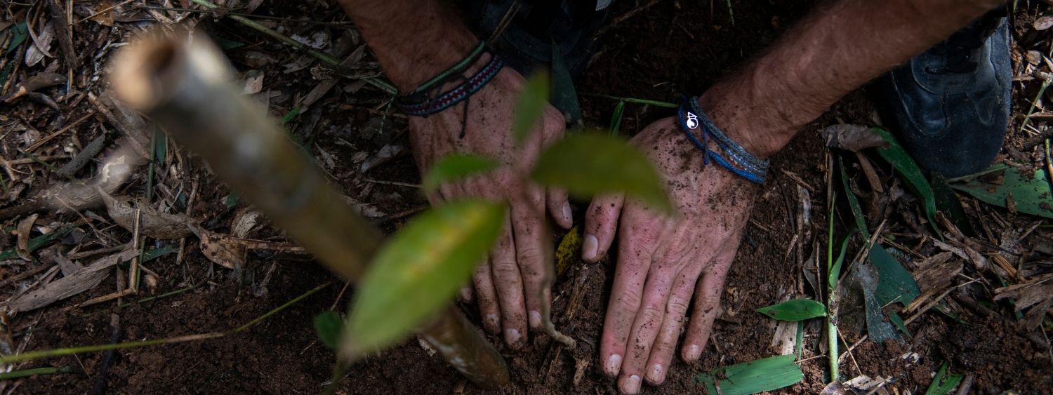 RecRe & One Tree Planted - RecRe