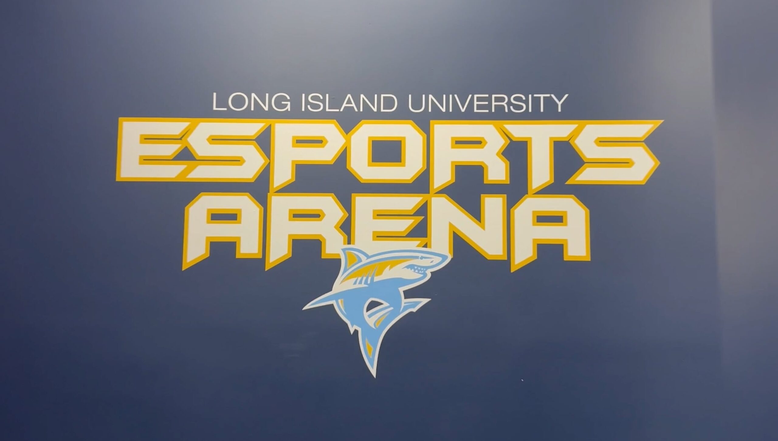 RecRe’s Partnership with the LIU Brooklyn Esports Arena - RecRe